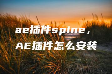 ae插件spine，AE插件怎么安装 | ae插件合集