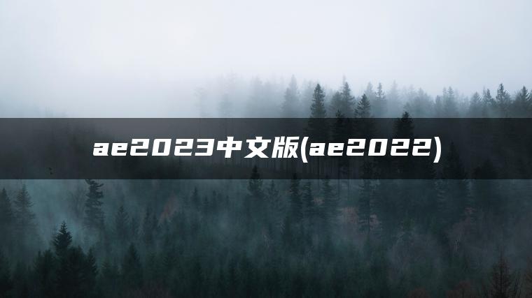 ae2023中文版(ae2022) | ae插件合集