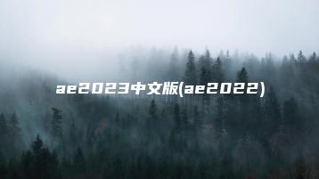ae2023中文版(ae2022) | ae插件合集